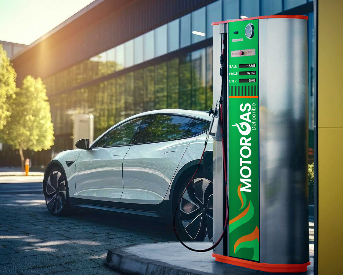 #1 en Servicios y Conversión de vehículos a gas - MotorGas